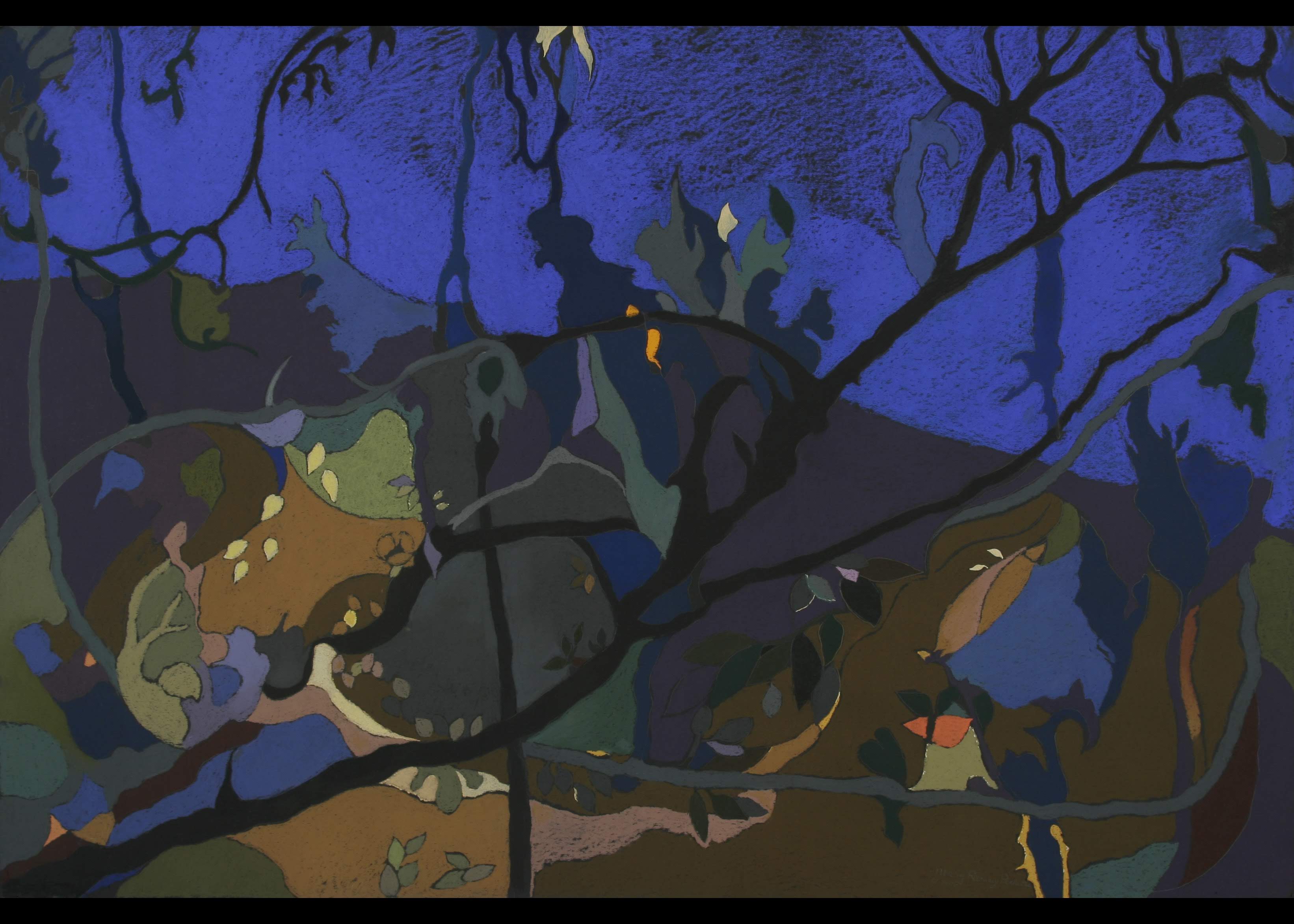 Midnight Shadows – Mary Pichette